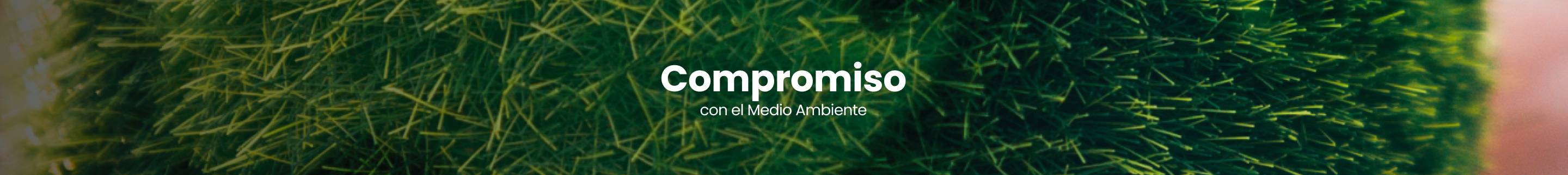 Compromiso - FeltrexCL